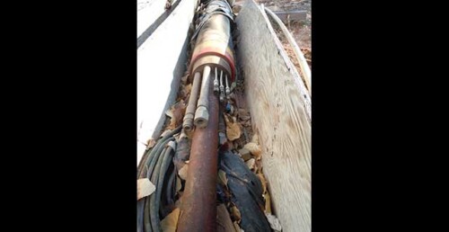 TAM International Packers - Beeman Equipment Sales